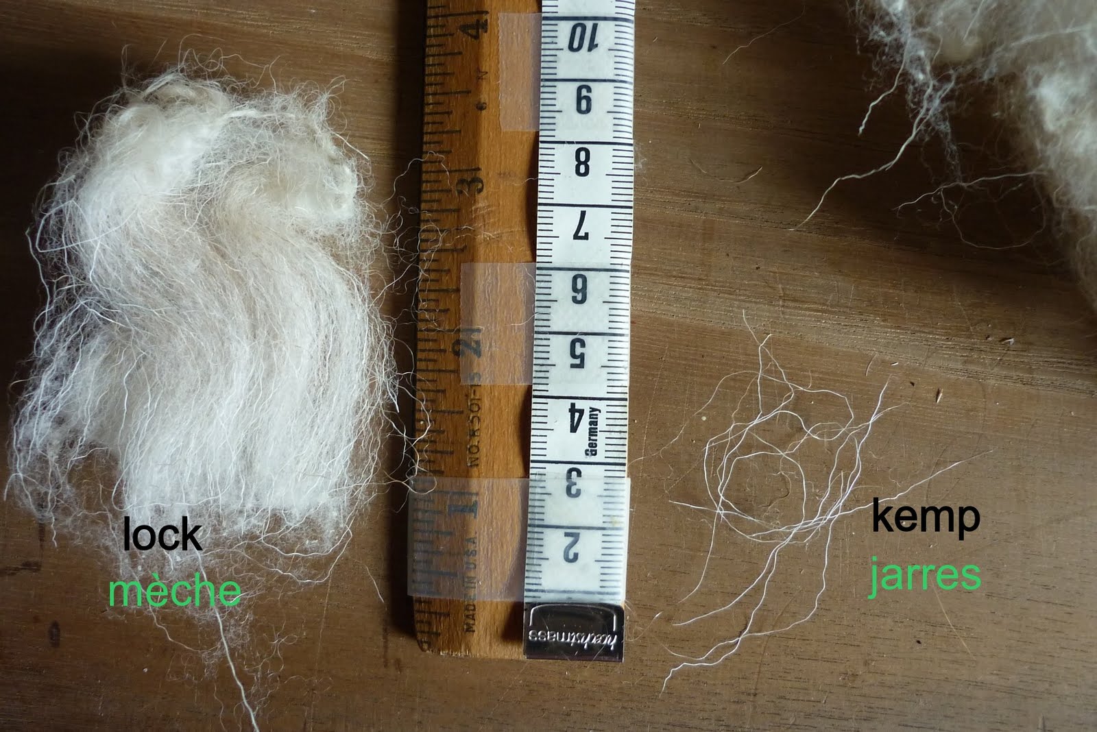 Ouessant Wool 101, n° 3 : The 4 Fiber Types Found in an Ouessant Fleece ...